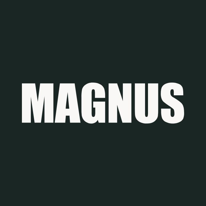 Magnus Group Logo